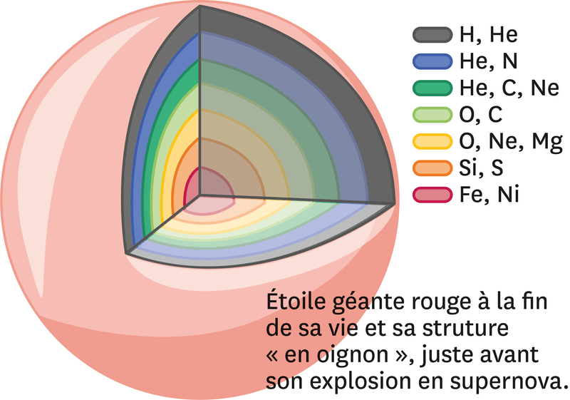 Nucléosynthèse stellaire. | Exercices | Lelivrescolaire.fr