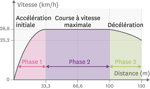 La vitesse lors du 100 mètres.