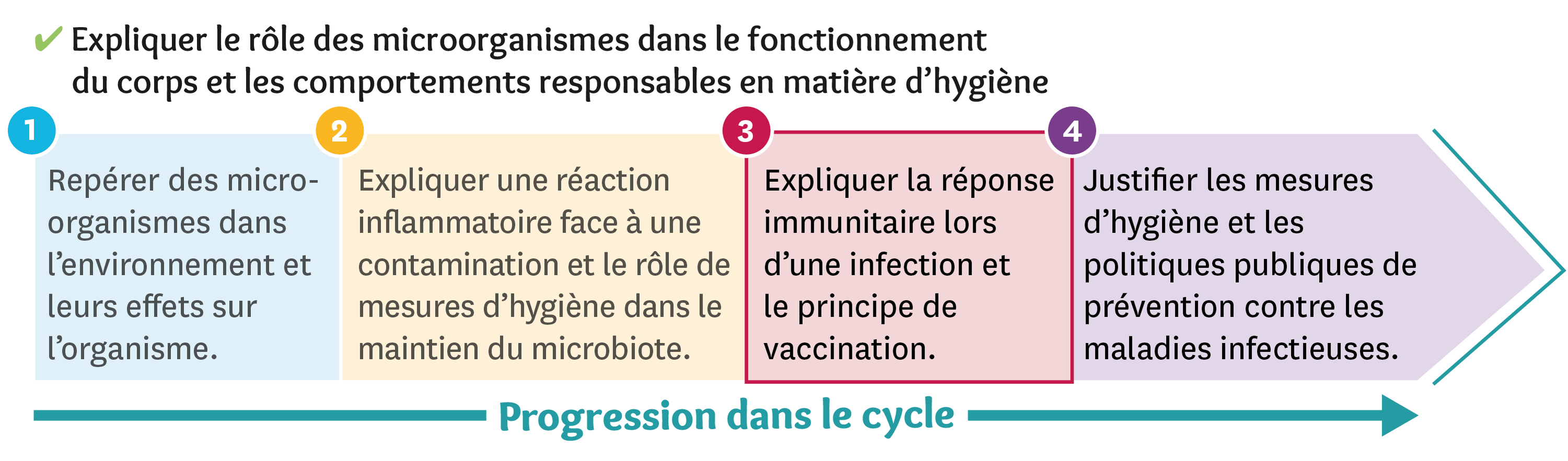 La réponse immunitaire adaptative face aux infections - Image ... La réponse immunitaire adaptative face aux infections - Image ...